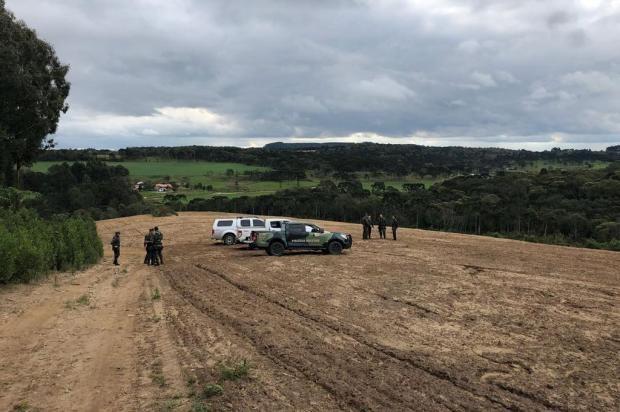 Identificada área de desmatamento ilegal do tamanho de 414 campos de ...